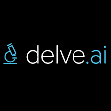 Delve AI: Automated Buyer Persona Creation